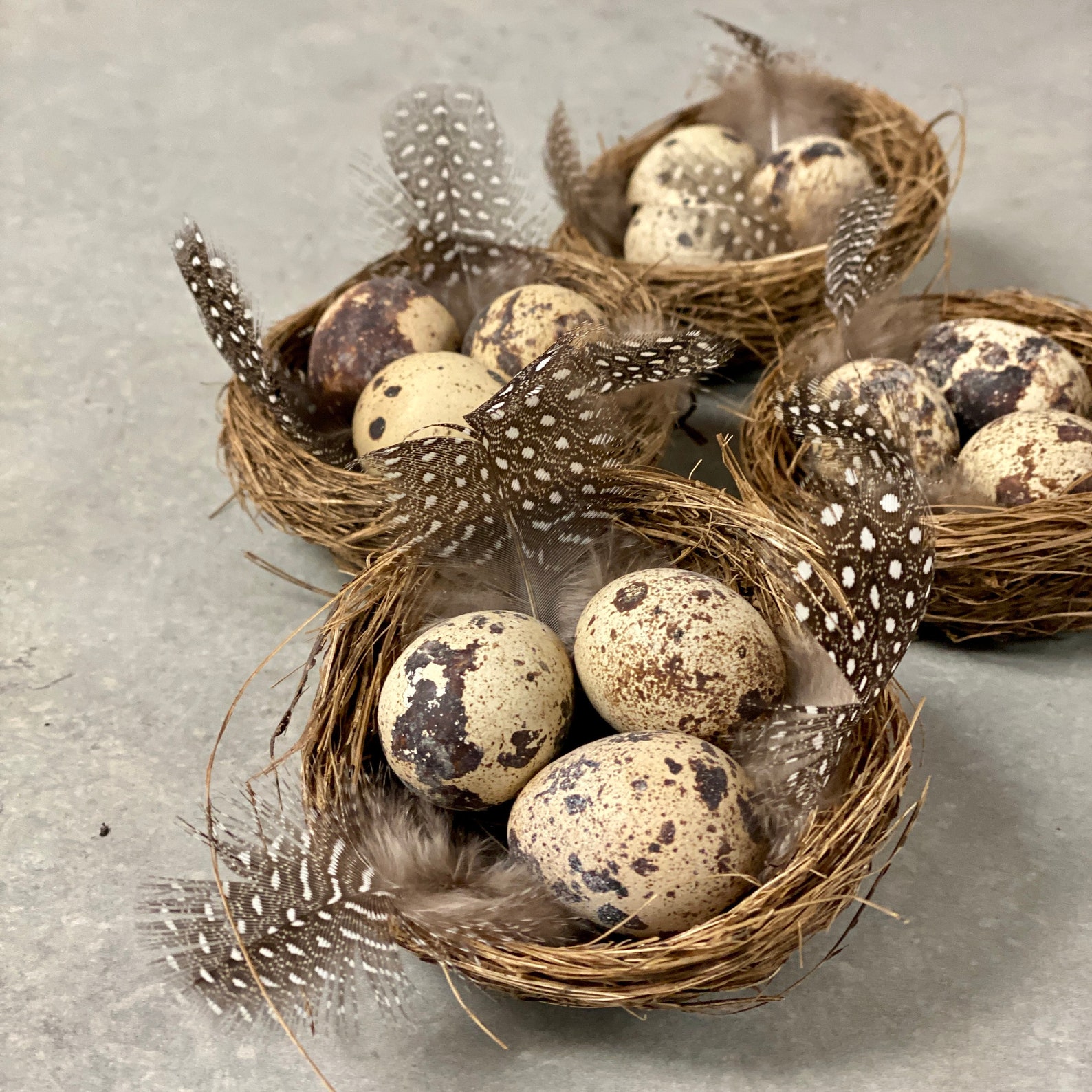 Four Handmade Miniature Nests With Real Blown Quail Eggs | Etsy UK