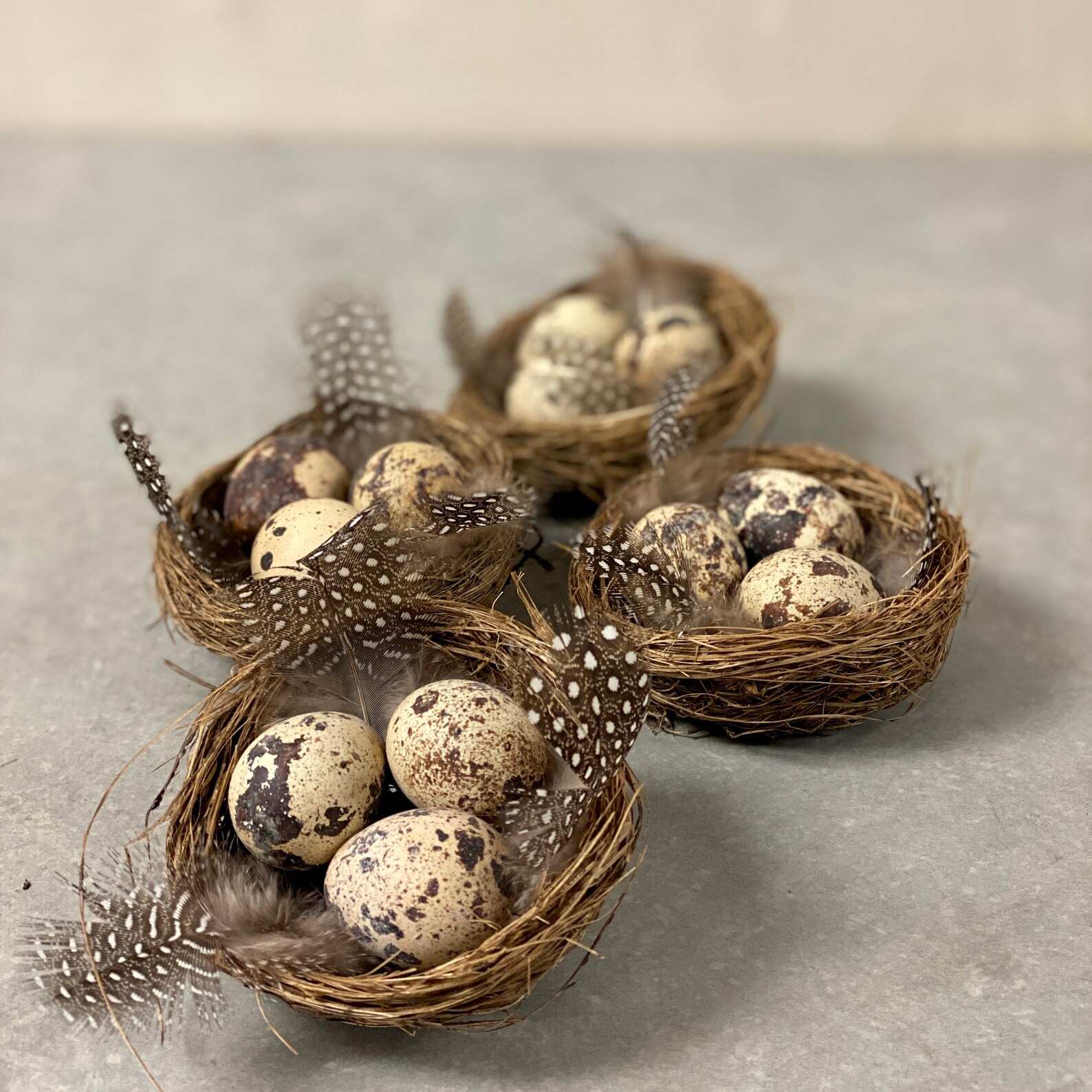 Four Handmade Miniature Nests With Real Blown Quail Eggs | Etsy UK