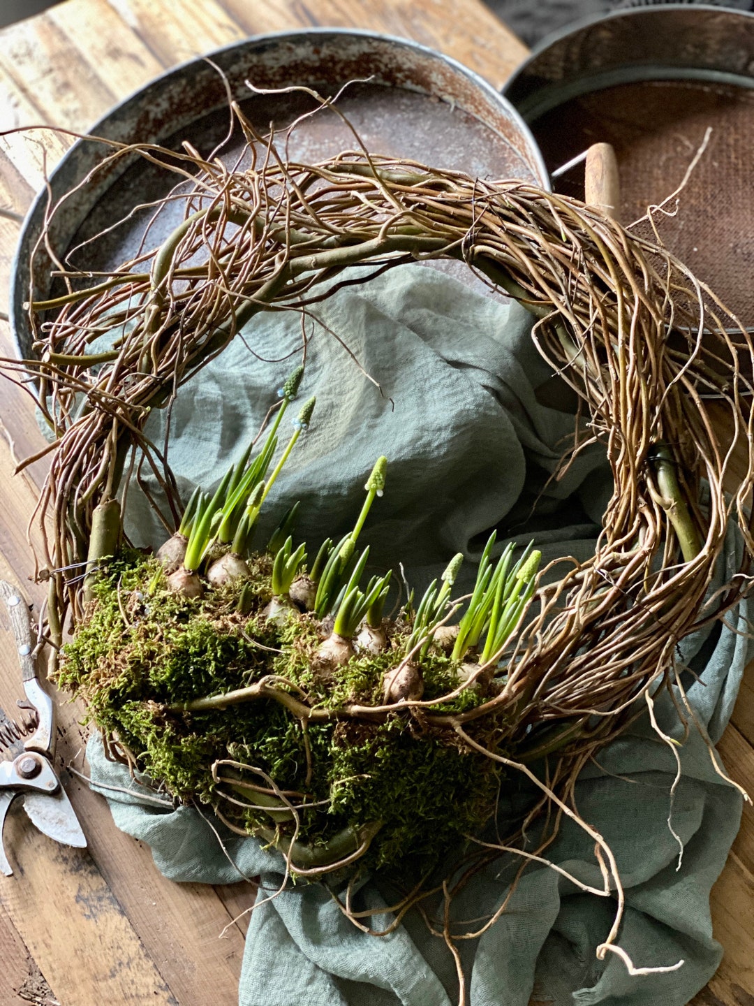 Spring Willow Door Wreath Muscari Bulb Planter - Etsy