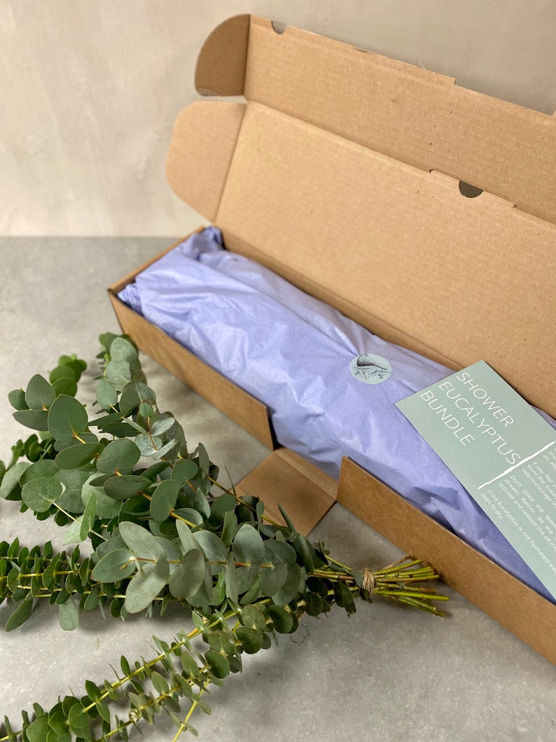 Shower Eucalyptus Bundle Fresh Cut Eucalyptus - Etsy UK