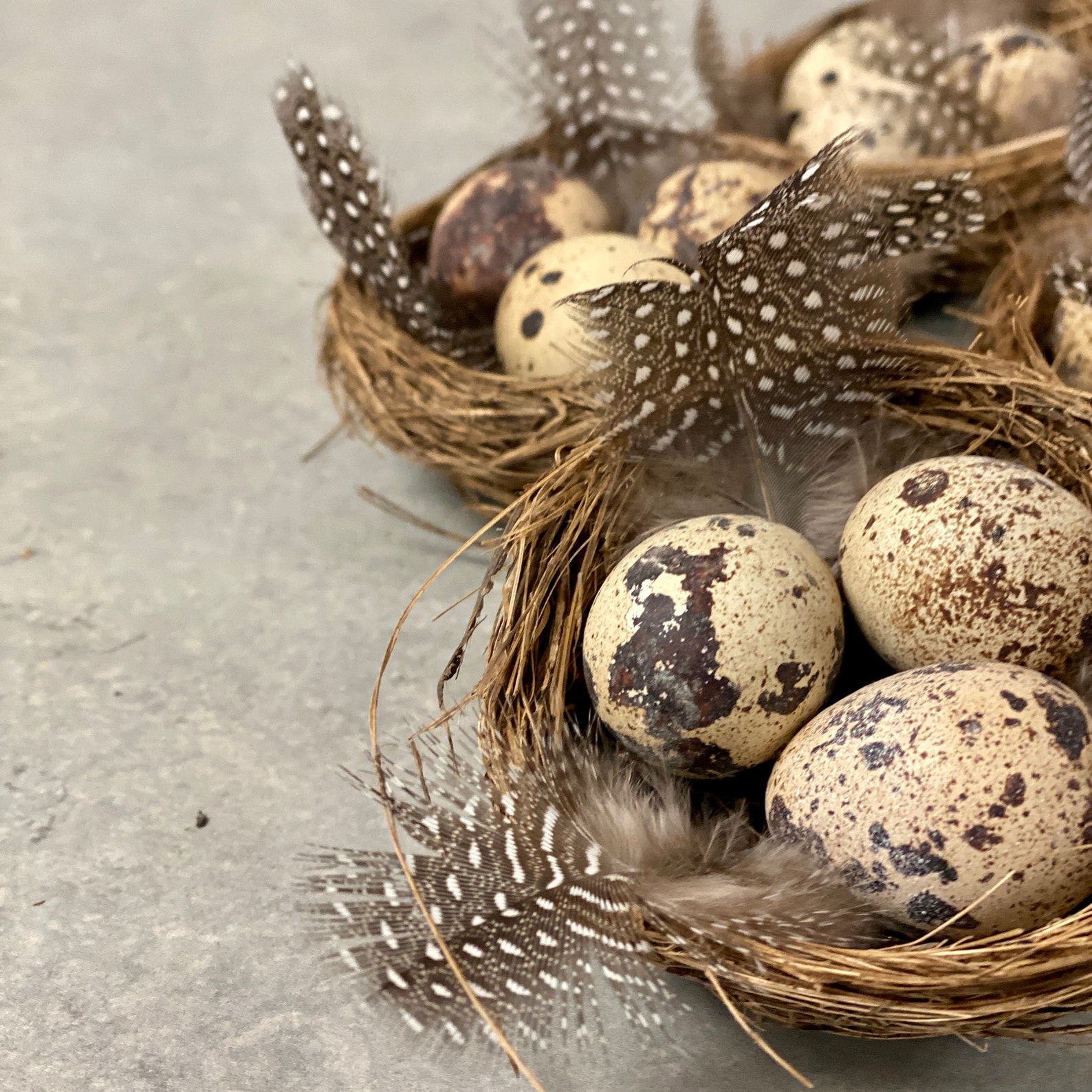 Four Handmade Miniature Nests With Real Blown Quail Eggs | Etsy UK