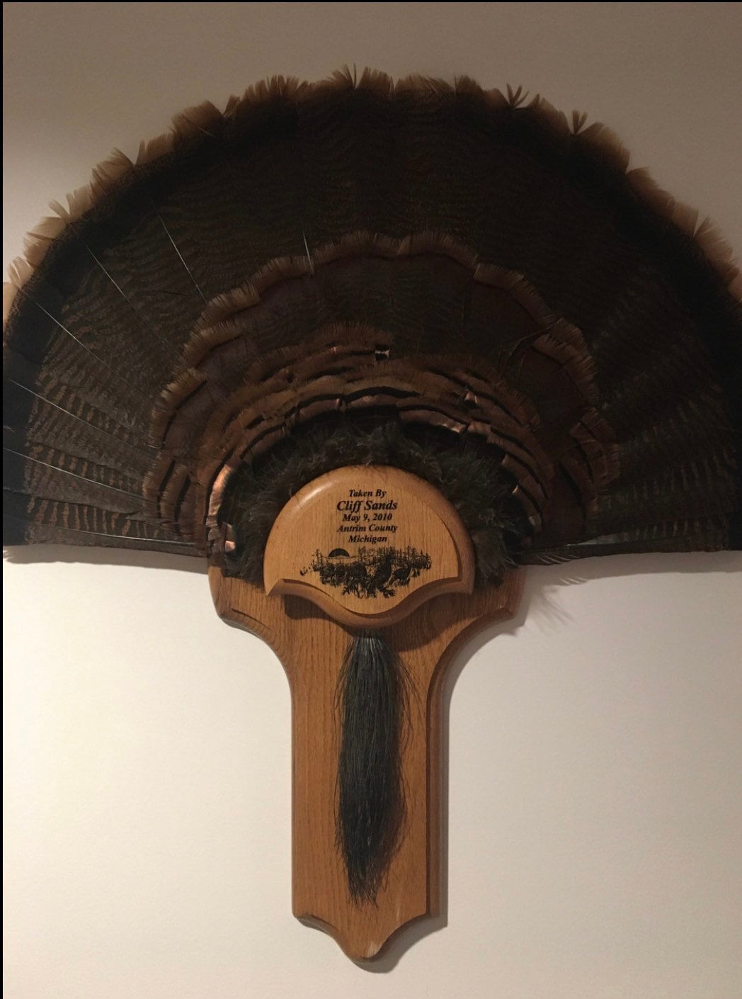 Personalized Turkey Fan Plaque - Etsy
