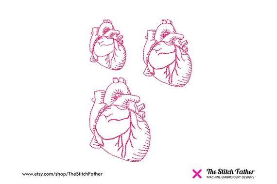 Two Human Hearts Sewn Together