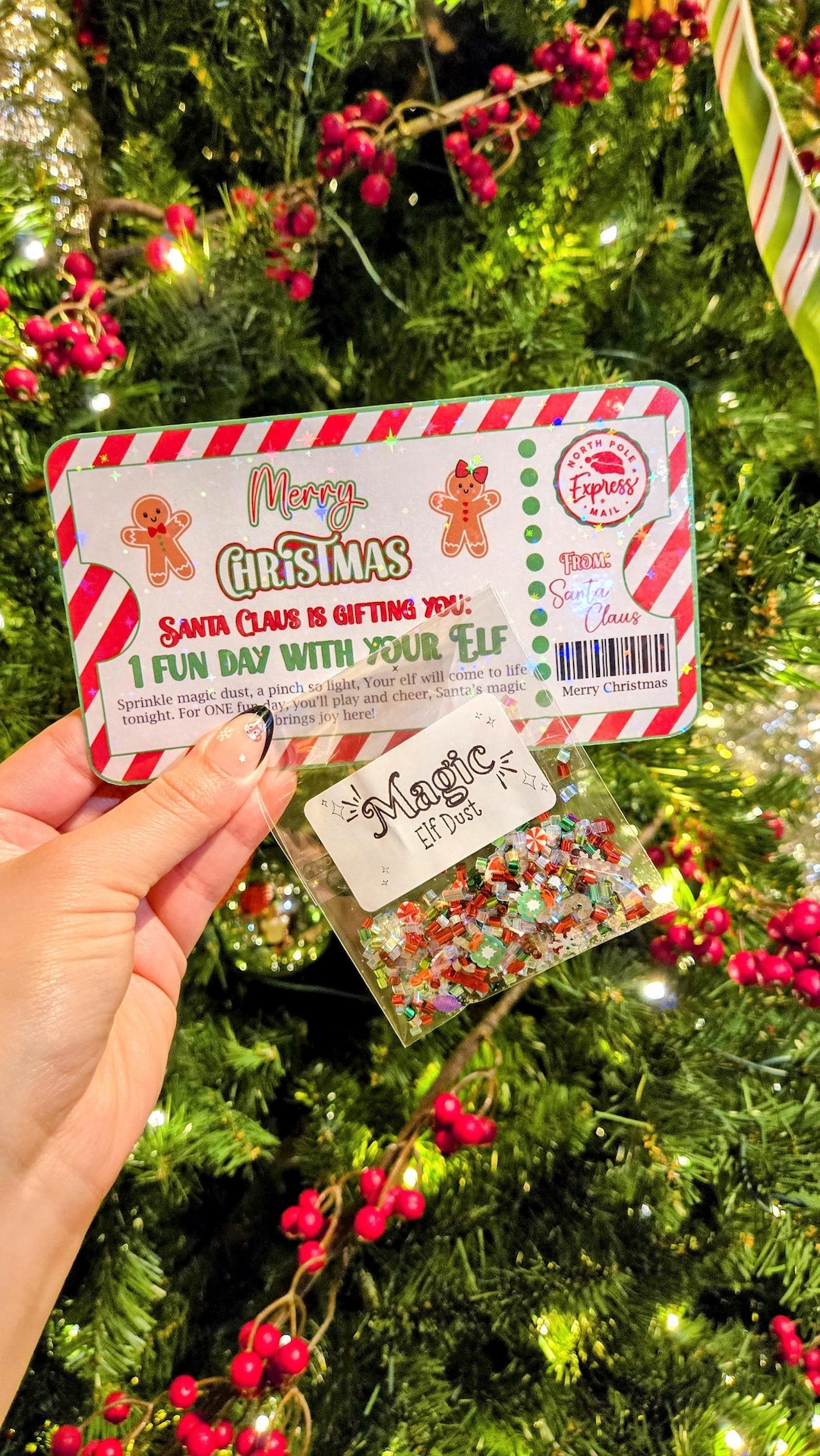 Elf Ideas | Santa Ticket | Elf Arrival | Elf Ticket - Etsy