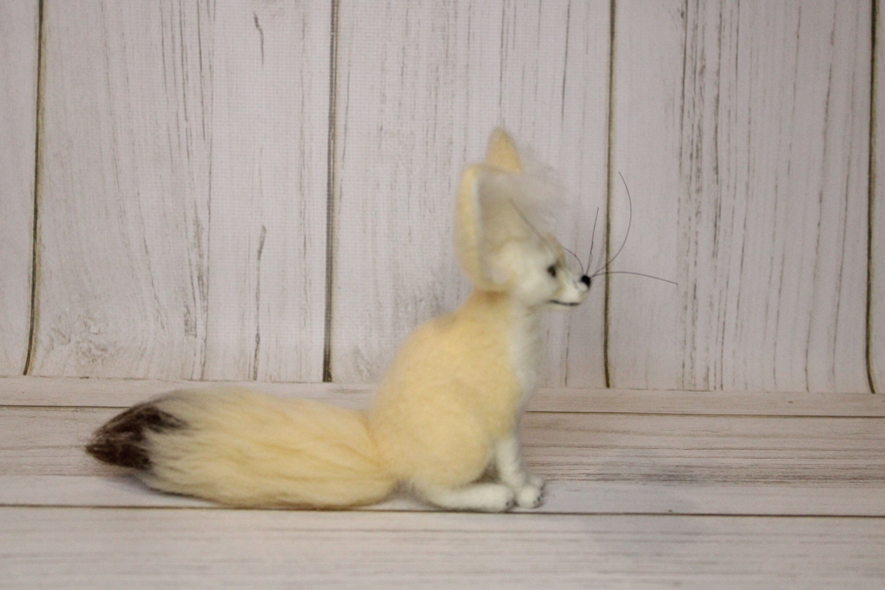 Needle Felted Fox Fenec. OOAK Fox . Needle Felted Fox. Fennec - Etsy