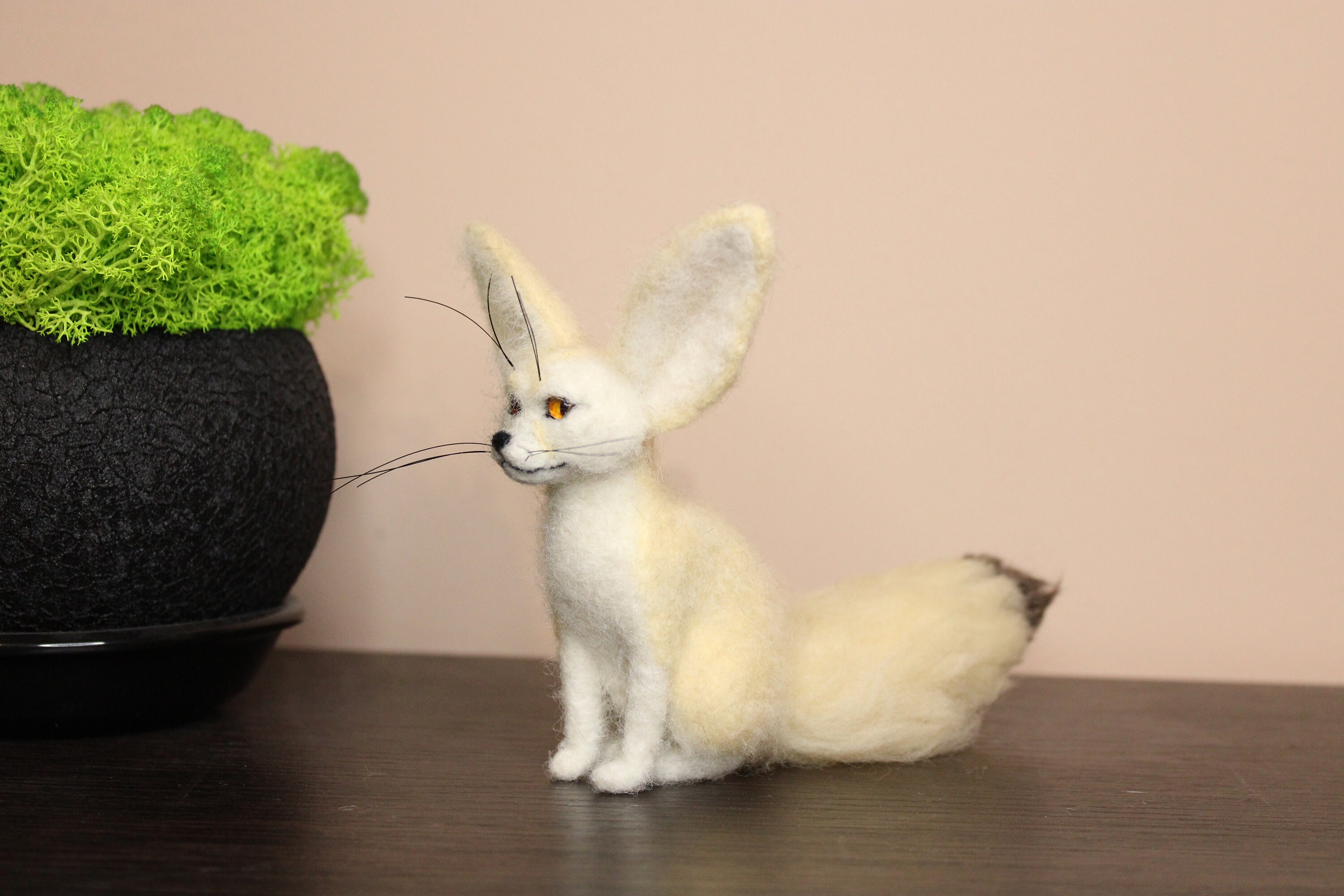 Fennec Hare Full Grown