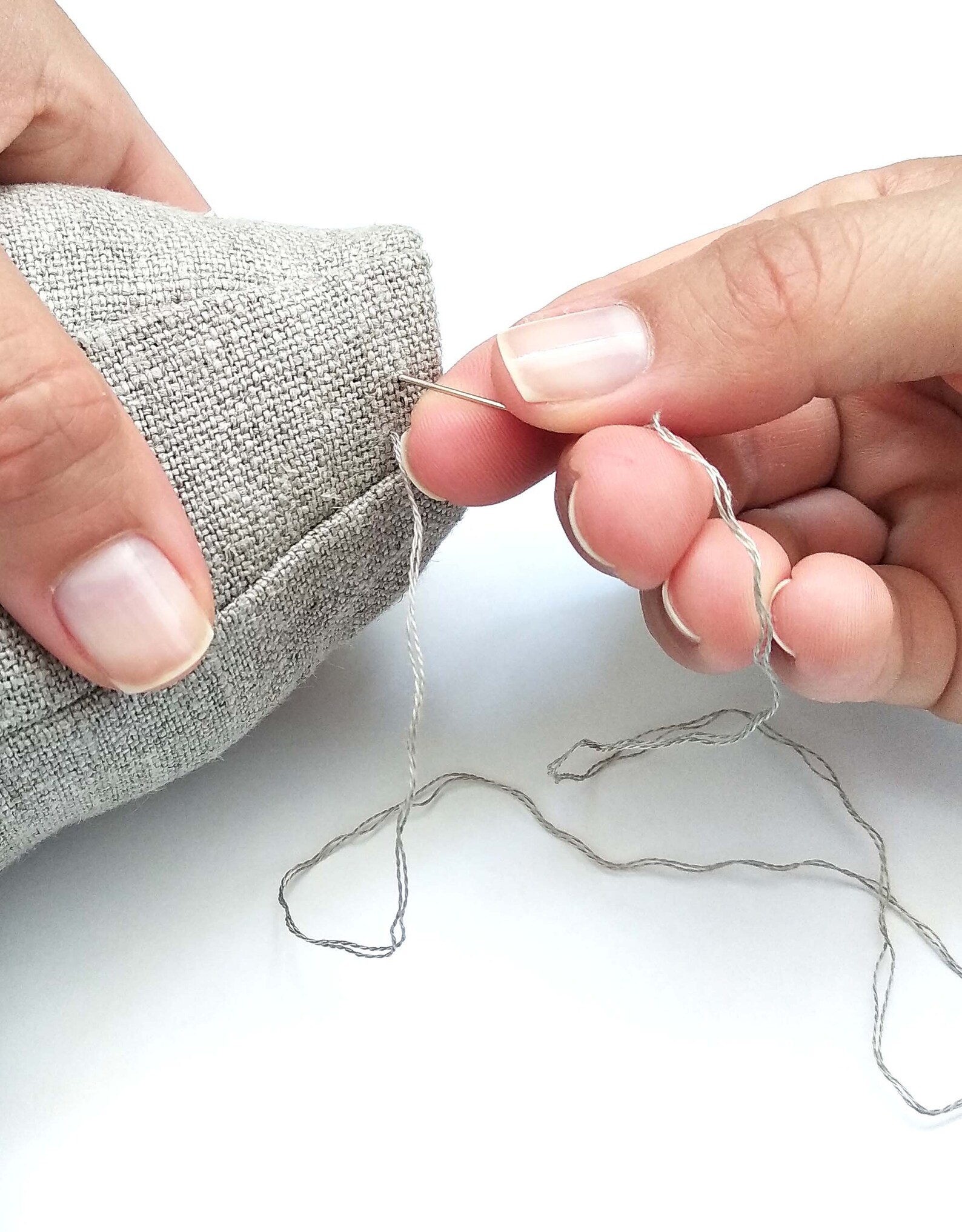 DIY Kit Tardigrade Plush Science Gift Biology Geek Gift Nerd - Etsy