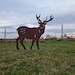 Garden Statue / Garden Feature / Stag Ornament / Rusty Metal Stag ...