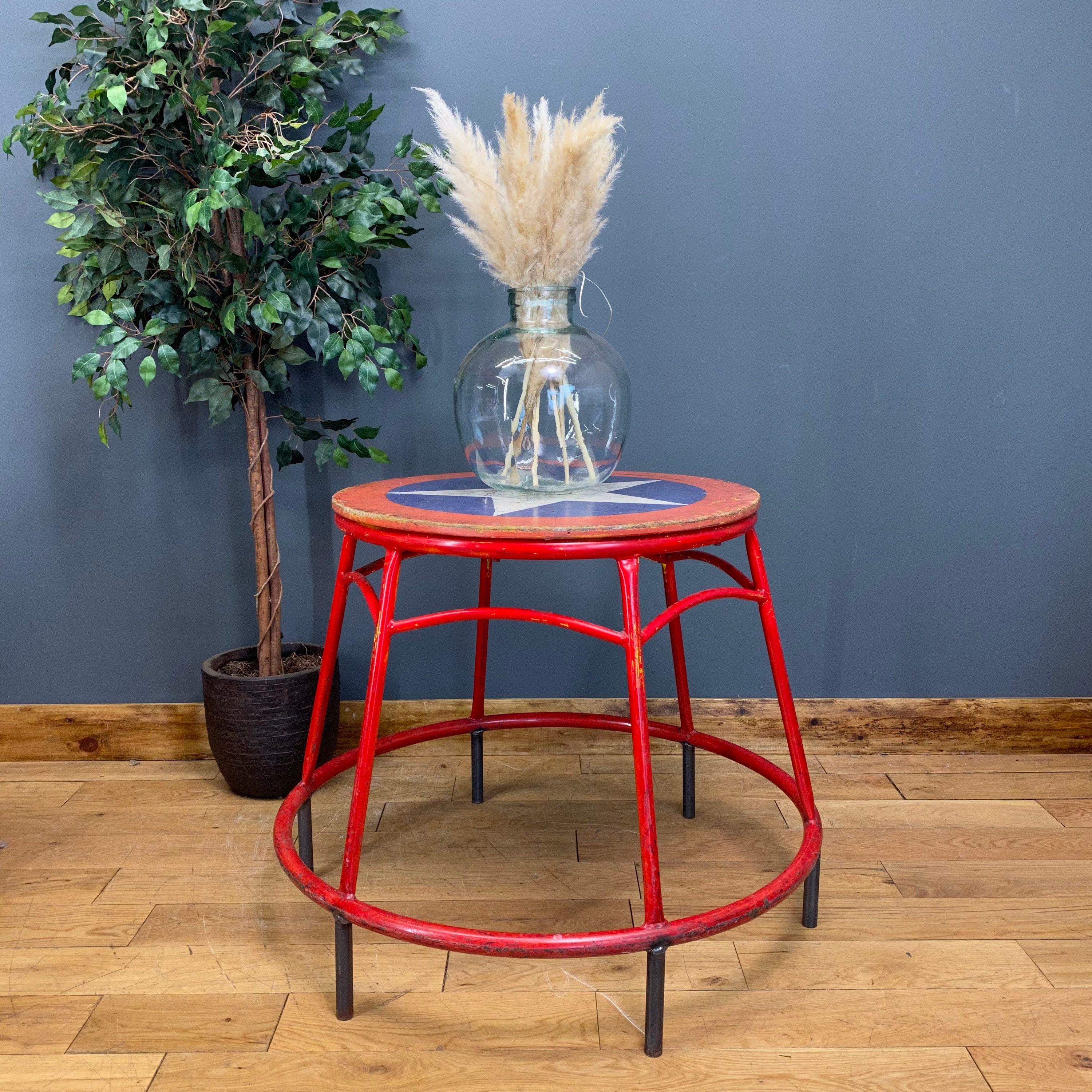 Circus Elephant Standing