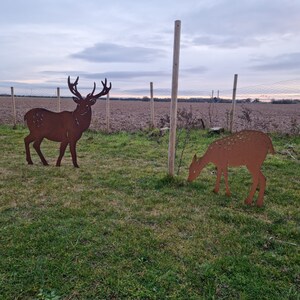 Garden Statue / Garden Feature / Stag Ornament / Rusty Metal Stag ...