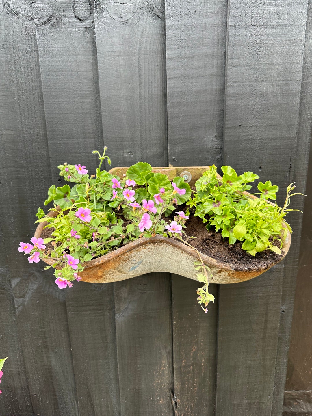 Wall Planters / Cattle Feeder / Hanging Basket / Herb Planter / Plant ...