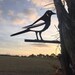 Rusty Metal Magpie Garden Ornament , Garden Sign , Bird Decoration ...