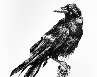 Raven Line Art | Etsy