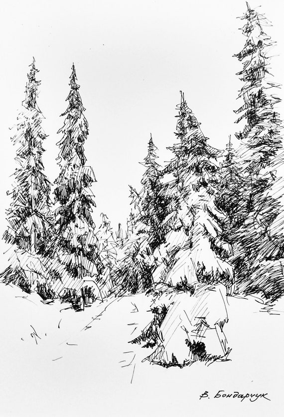 Winter Forest Drawing