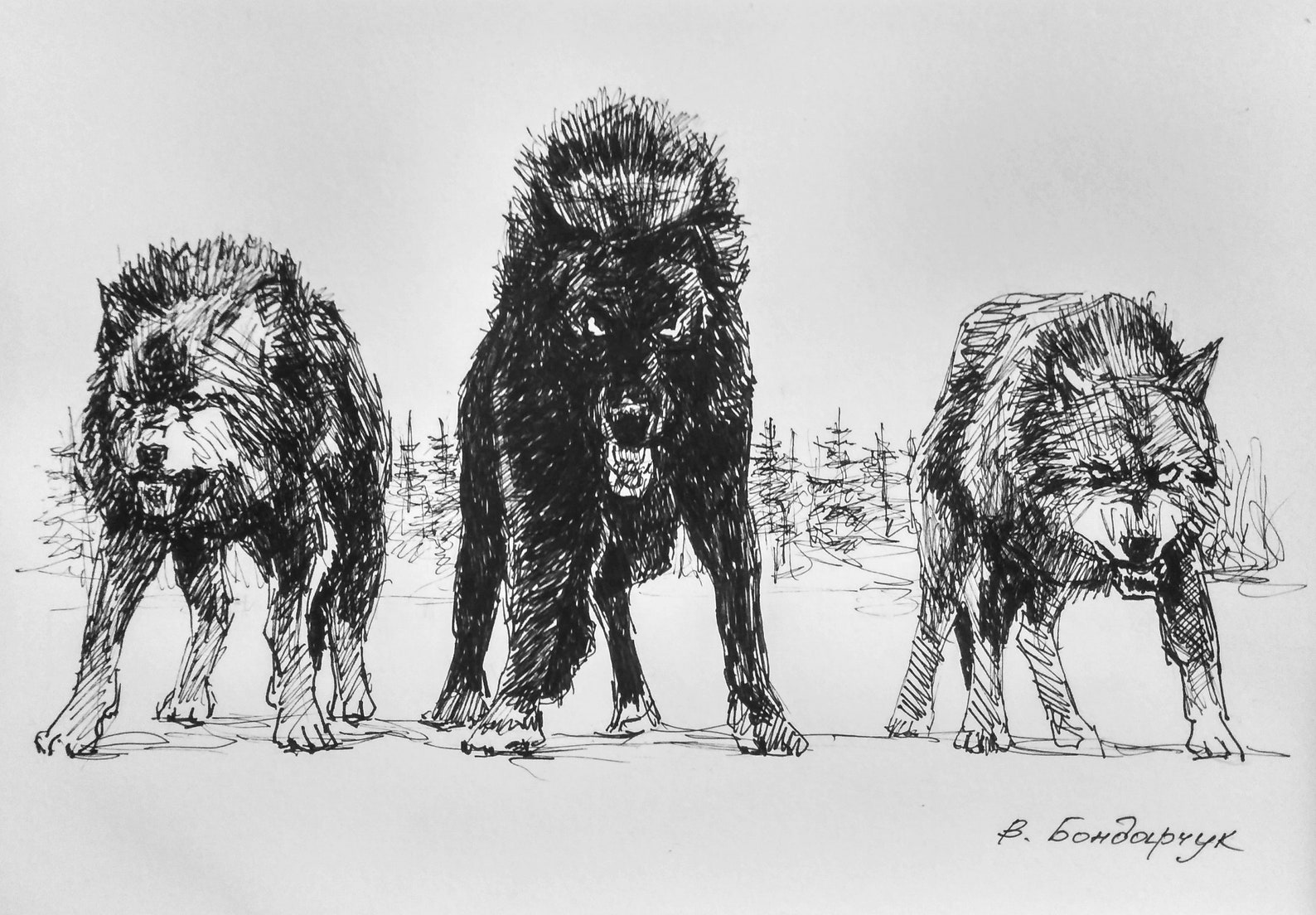 Original Art Drawing Winter Three Aggressive wolves | Etsy