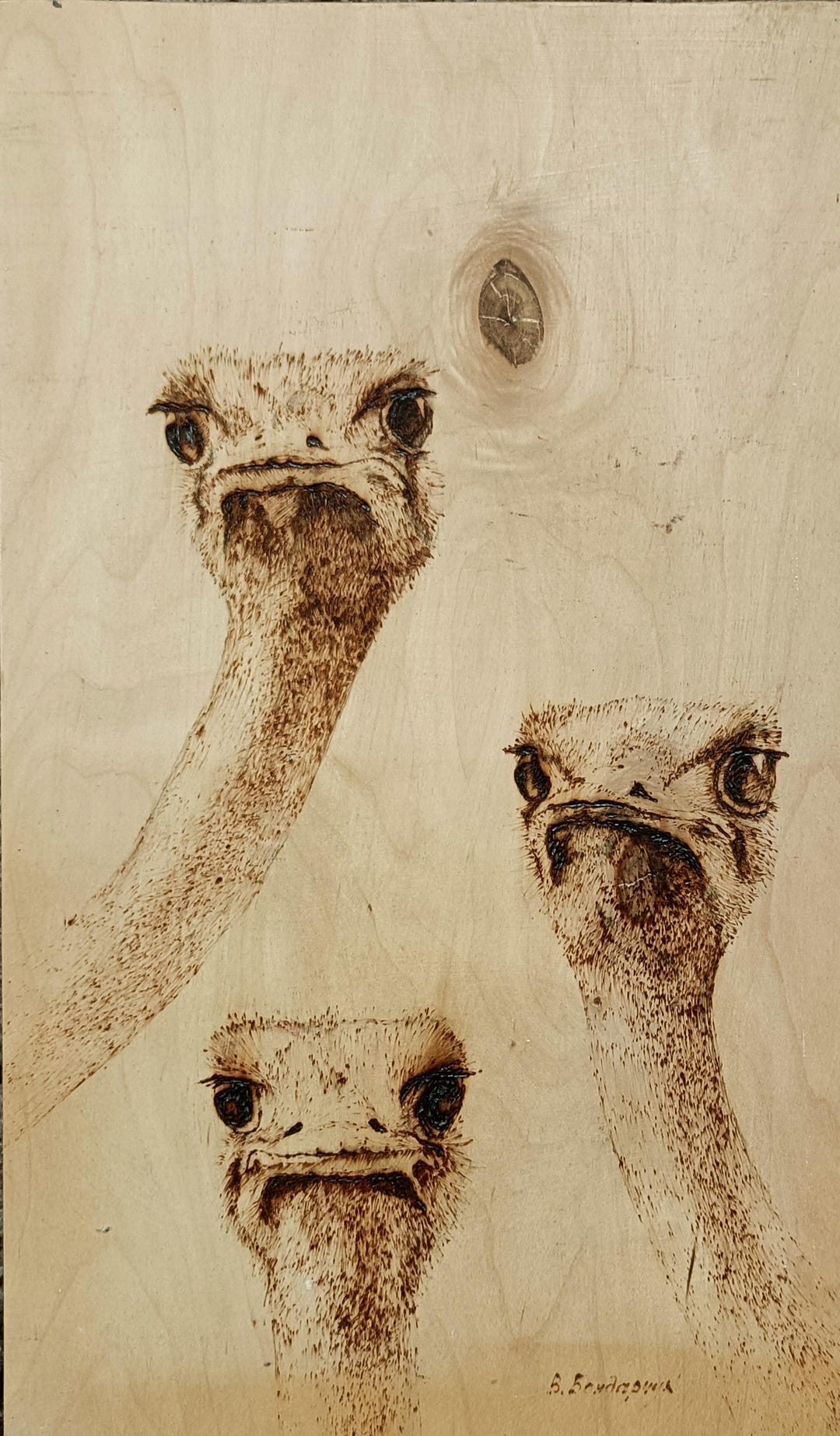 Original Wood-burning Painting: Pyrography Art "three Ostriches" - Etsy