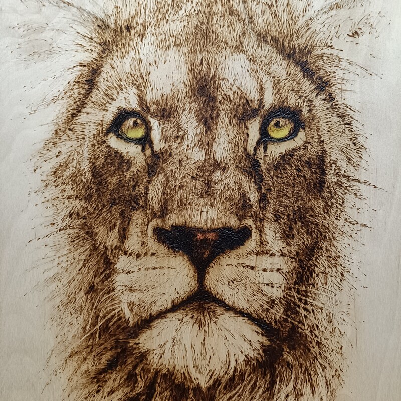 Wood Burning Art - Etsy