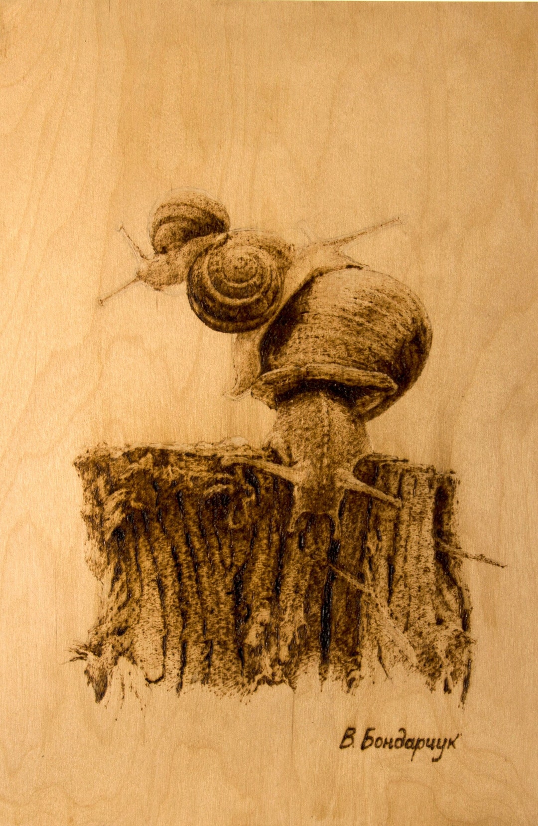 SNAILS. Original Pyrography Art Painting. Wood Burning Art - Etsy