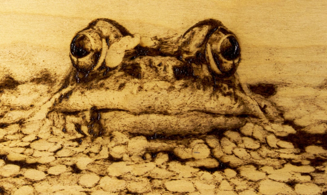 Original Paintings on Wood Burning. FROG. Wooden Wall Art Home Decor. Minimalist Pyrography Art ...