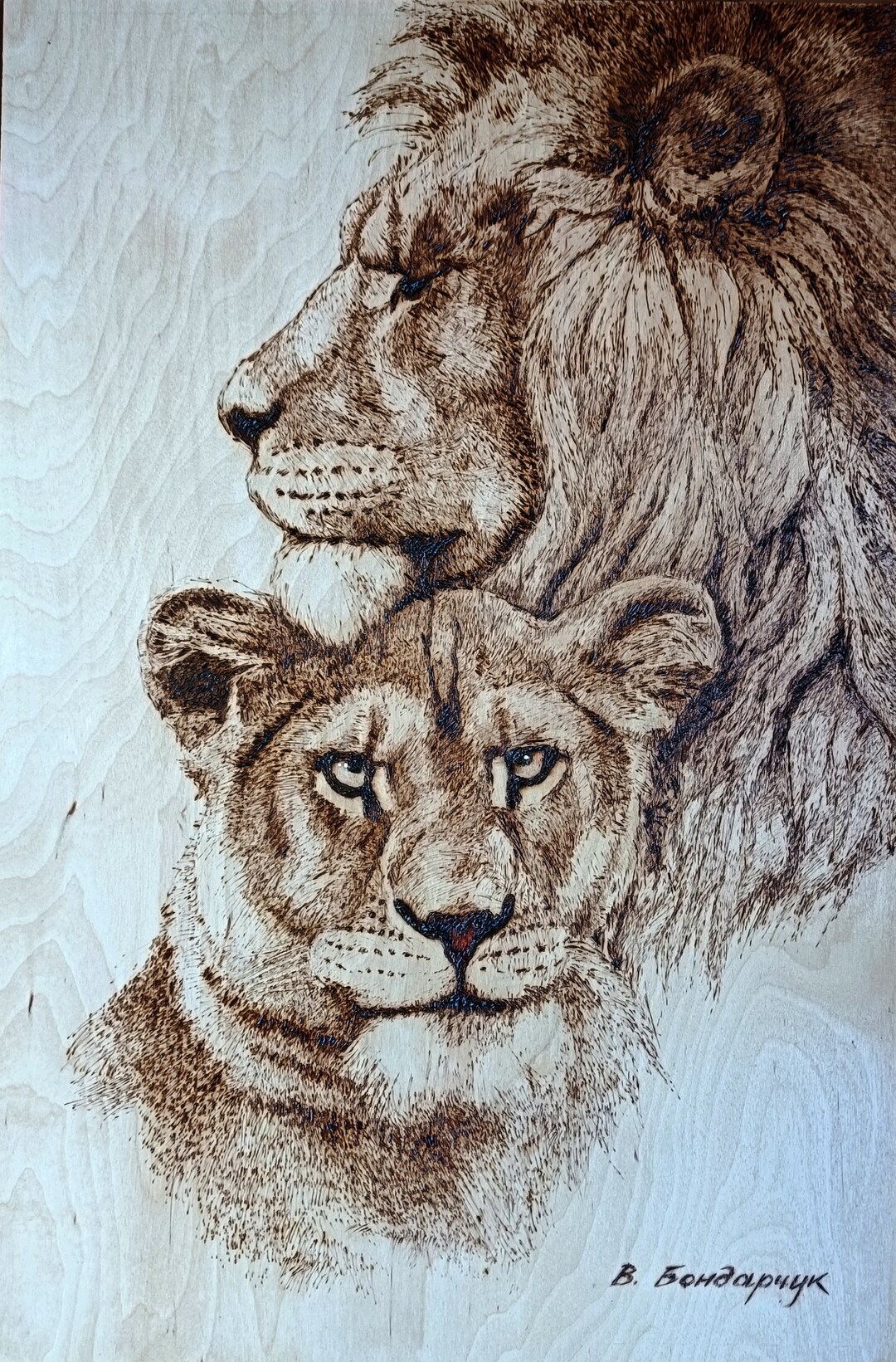 Wood Burning Painting. Family Pair of Lions. A Postcard as a Gift for a ...
