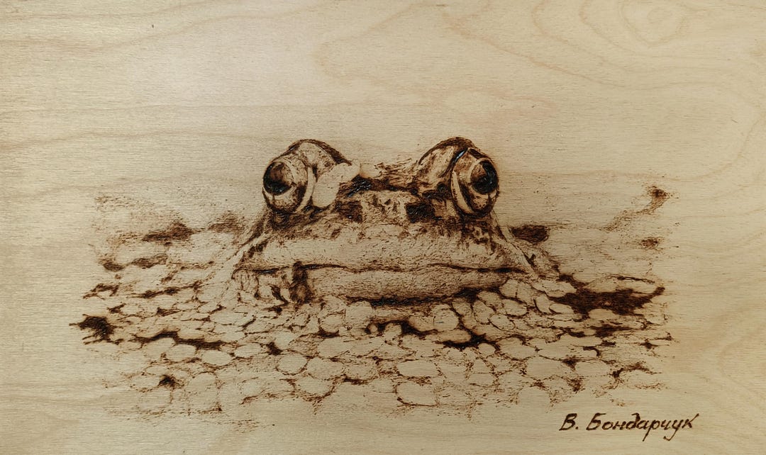 Realistic Art of Hand Burning Wood: Pyrographic Drawing - FROG. Unique ...
