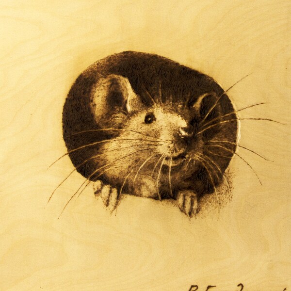 Pyrography Art - Etsy