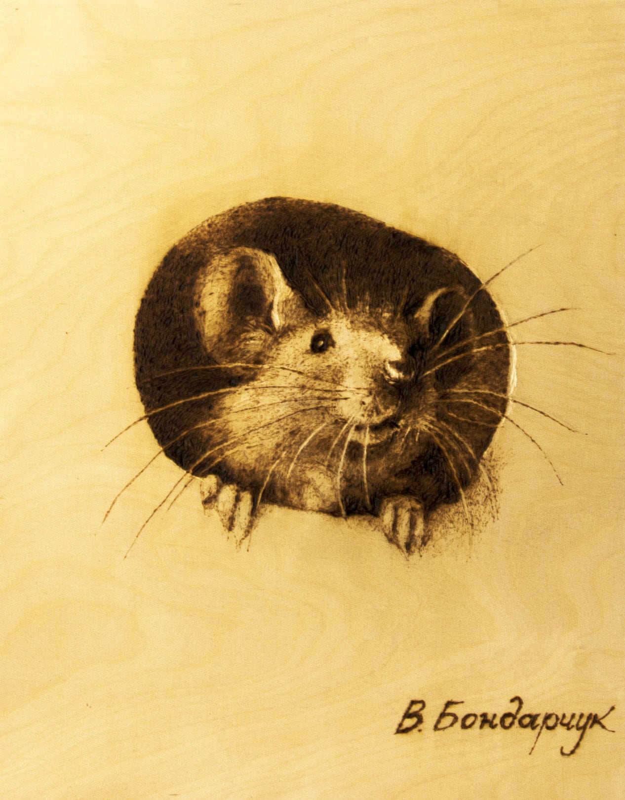 Origineel brandend hout schilderij. MUIS. Pyrografie kunst. - Etsy België
