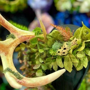 Druid Antlers and Greenery Crown, Swamp Creature, Cryptid Style Crown ...