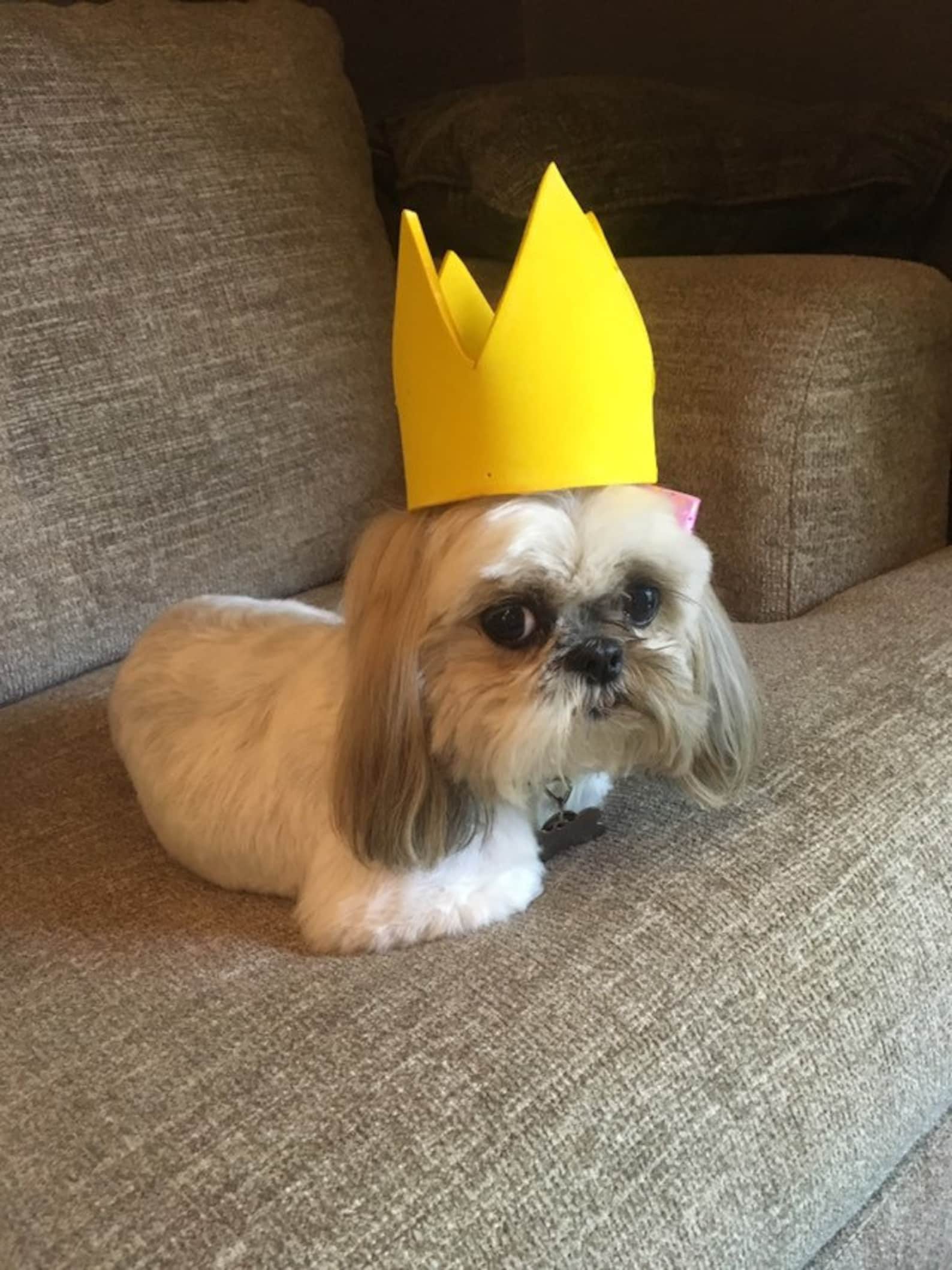 Party Hats Foam Crowns Colorful Crowns Runescape Party - Etsy