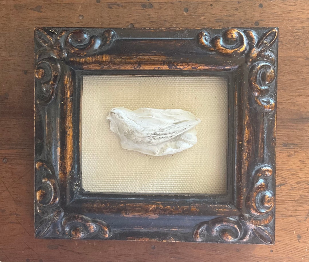 HAND CRAFTED Plaster Relief of Bird. - Etsy