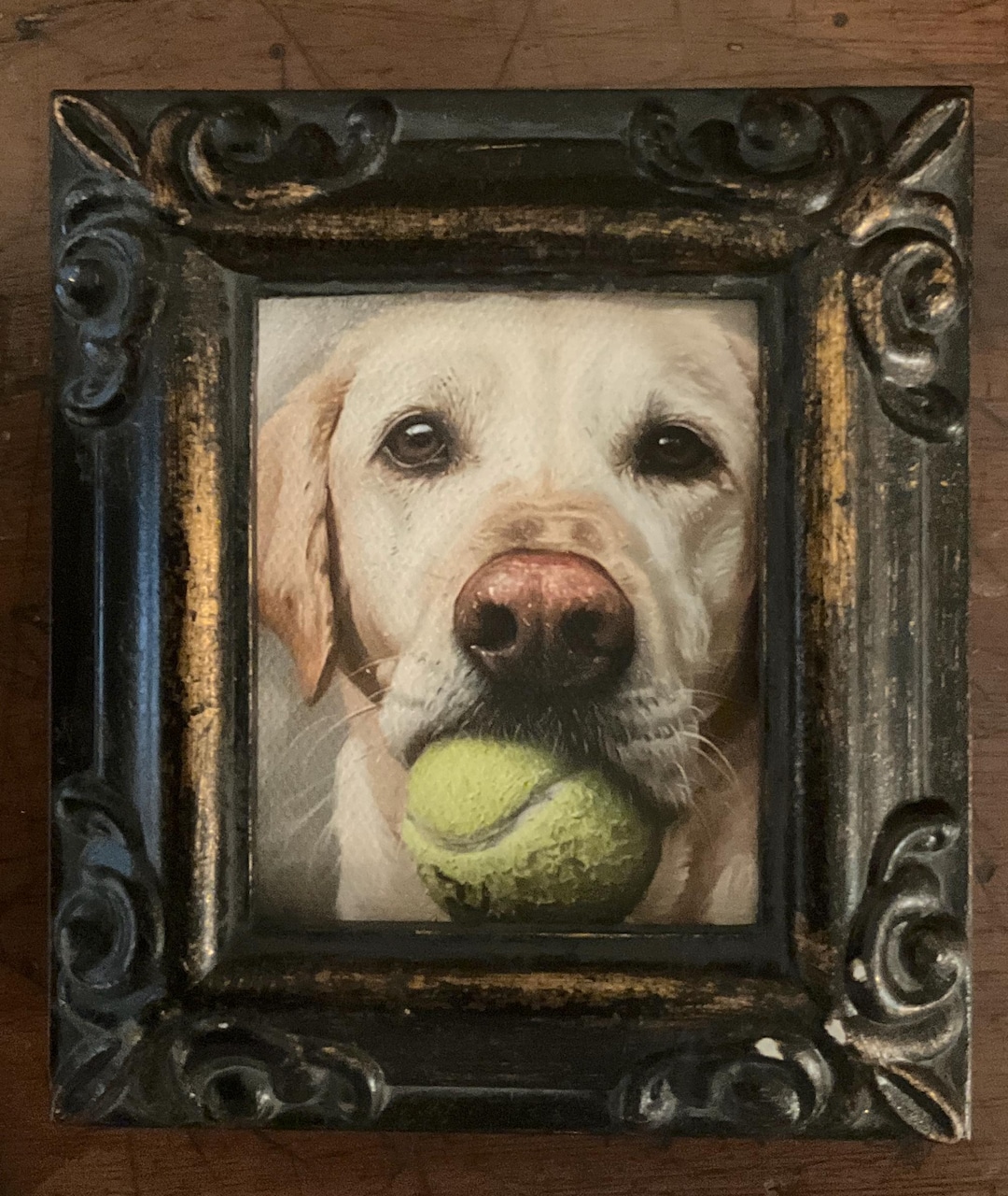 HAND PAINTED MINIATURE of a Labrador on a 2.5”x3” Canvas Print, Placed ...