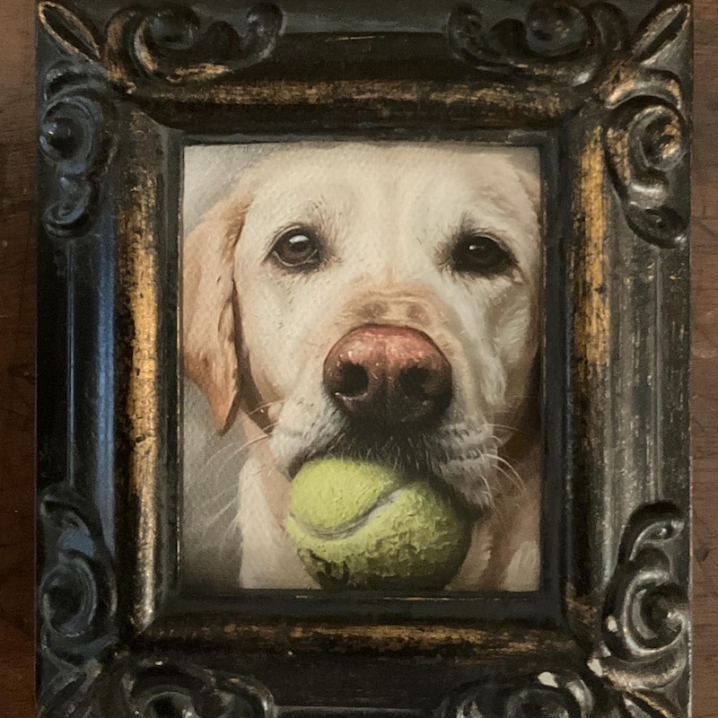 Labrador Painting - Etsy