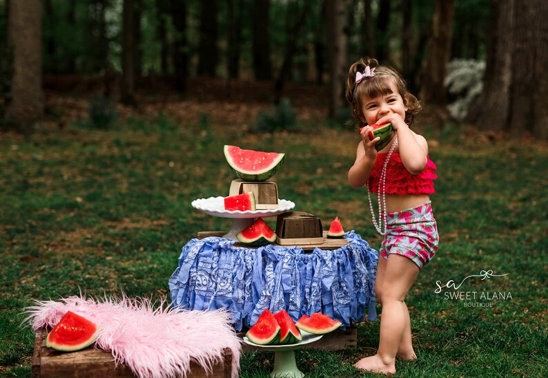 Watermelon 1st Birthday Watermelon First Birthday Watermelon - Etsy