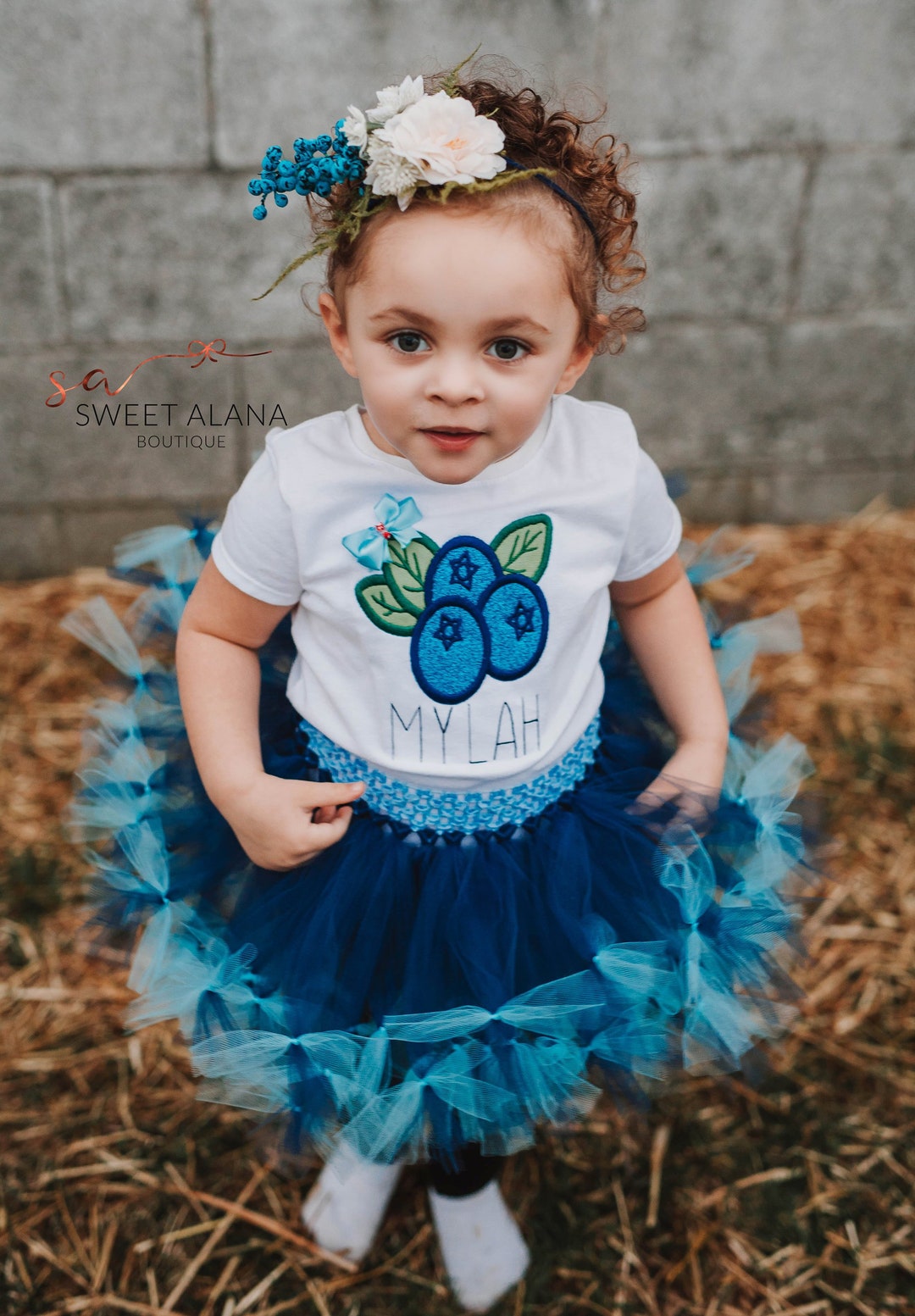 Blueberry Headband Blueberry Birthday Blueberry First Birthday ...