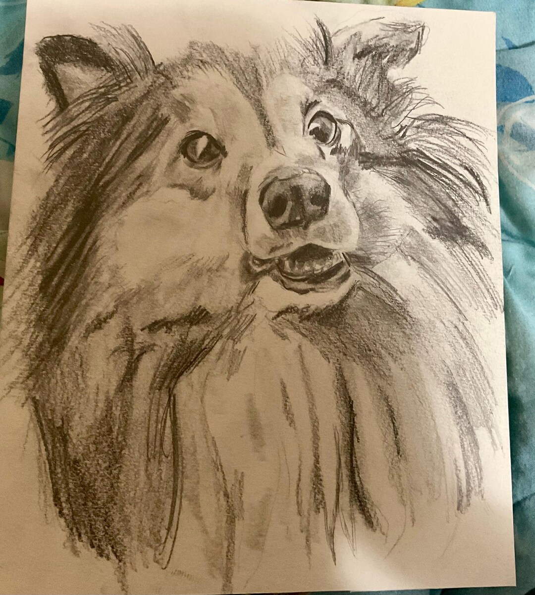 Beloved Furbaby Shetland Sheepdog Sheltie Original Handmade Drawing ...