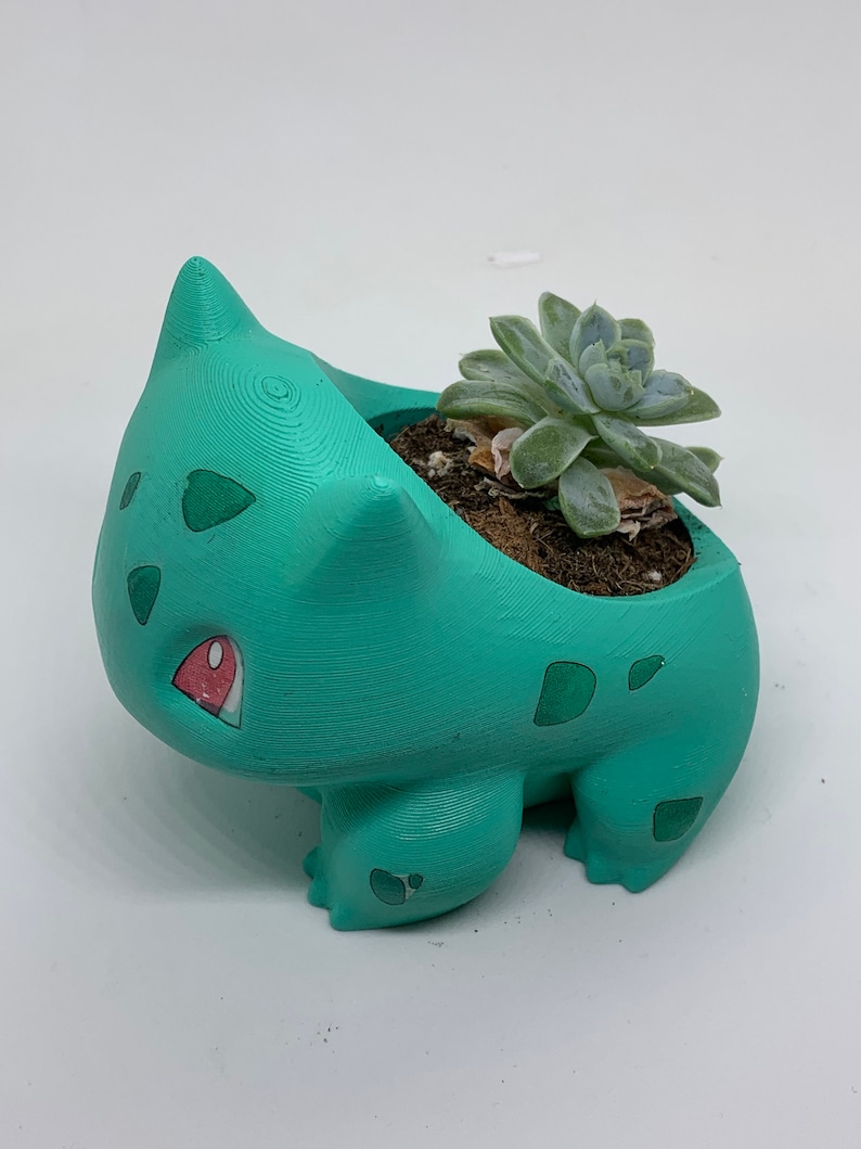 Painted Bulbasaur Planter With Live Succulent/cactus - Etsy