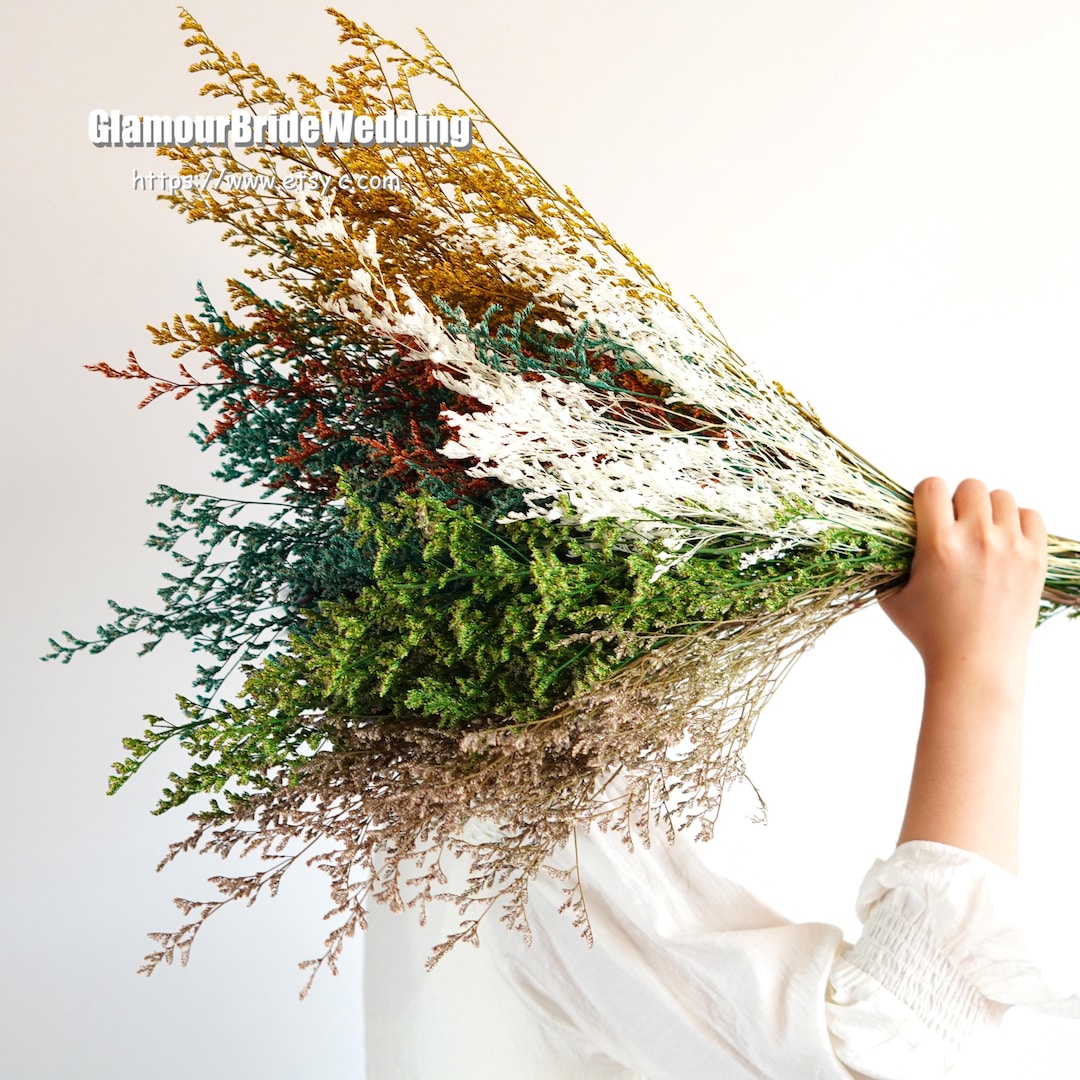 Preserved Dried MISTY LIMONIUM Caspia Plant | Pink Shades | Dried ...