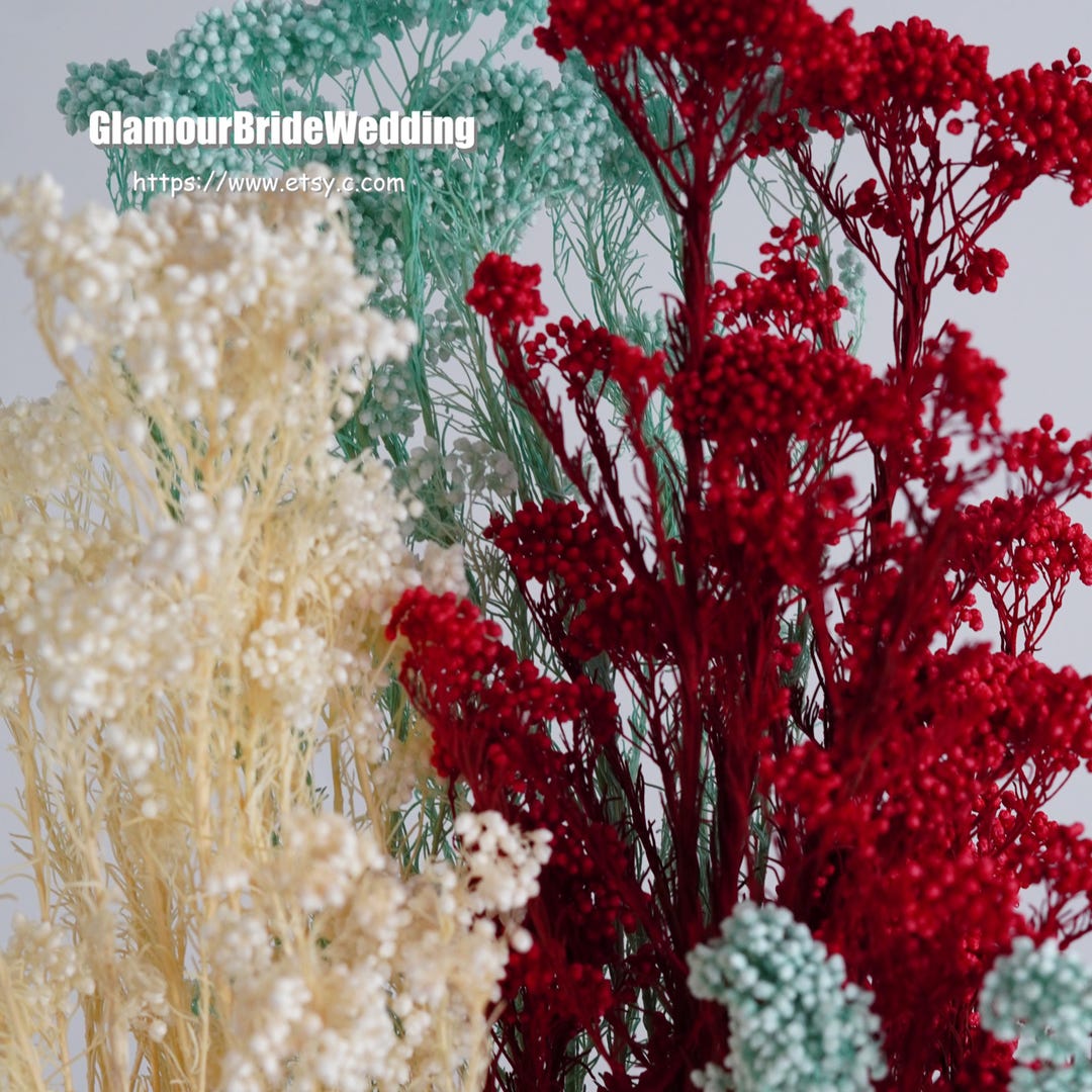 Bunch of Preserved RICE FLOWER Plant | Various Colour | Dried Flowers ...