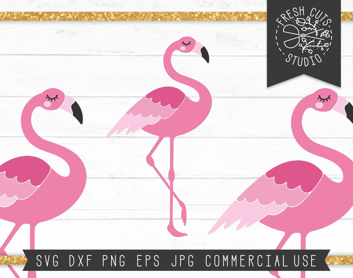 Flamingo Svg Design for Cricut, Silhouette, Instant Download, Flamingo ...