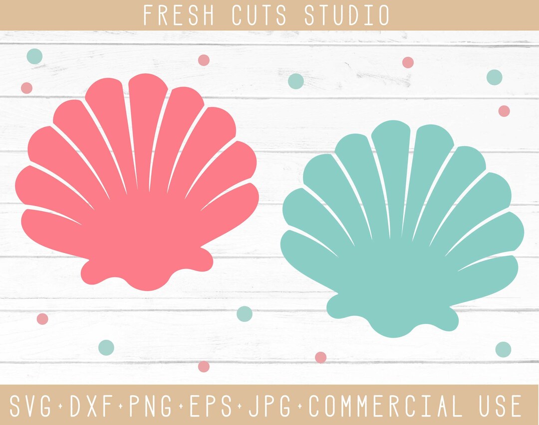 Seashell Svg Design Cut Files, Instant Download for Cutting Machines ...