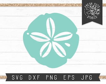 Sand Dollar SVG, DXF, PNG - Etsy