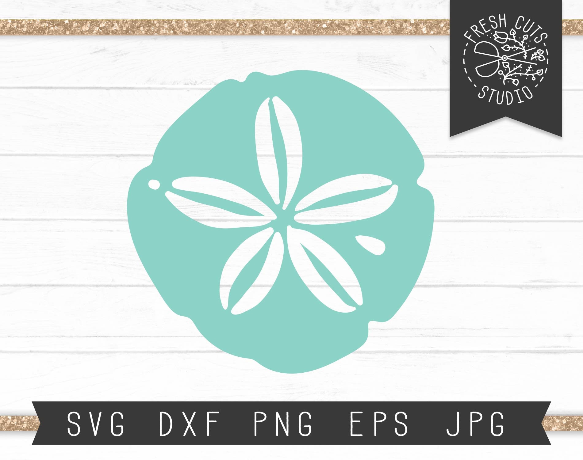 Sand Dollar SVG Cut File Instant Download Sand Dollar Cut | Etsy