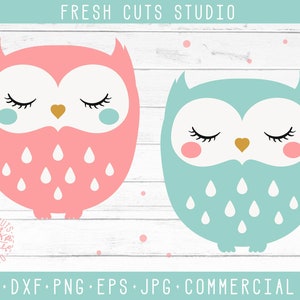 Owl SVG Cut Files, Instant Download Design Cutting Files, Baby Owl ...