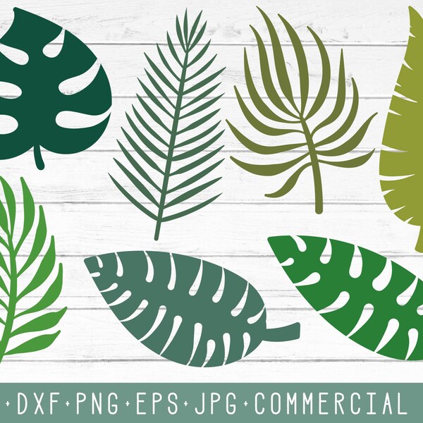 Rainforest Svg - Etsy