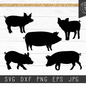 Pig SVG Files Pig Cut Files for Cricut Instant Download Pig | Etsy