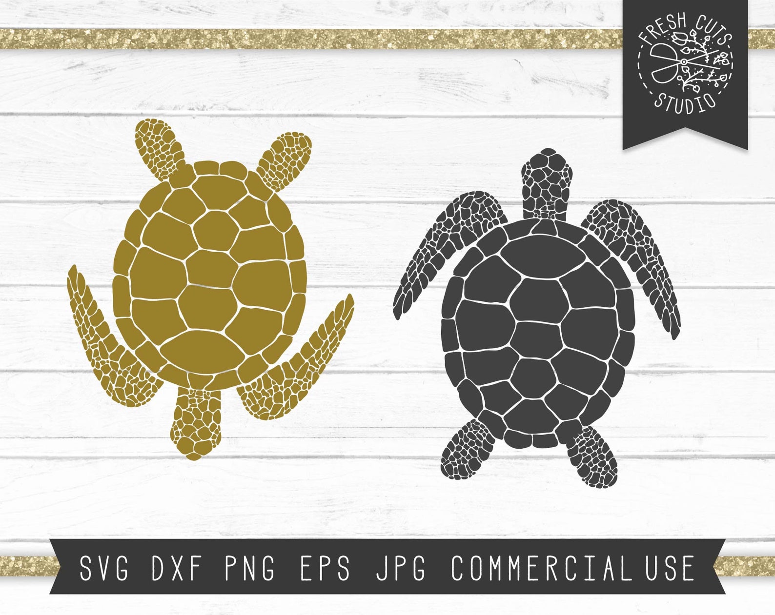 Sea Turtle SVG Cut File Instant Download Ocean Animal Beach | Etsy