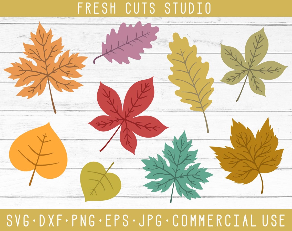 Fall Autumn Leaf SVG Leaves Instant Download Design | Etsy