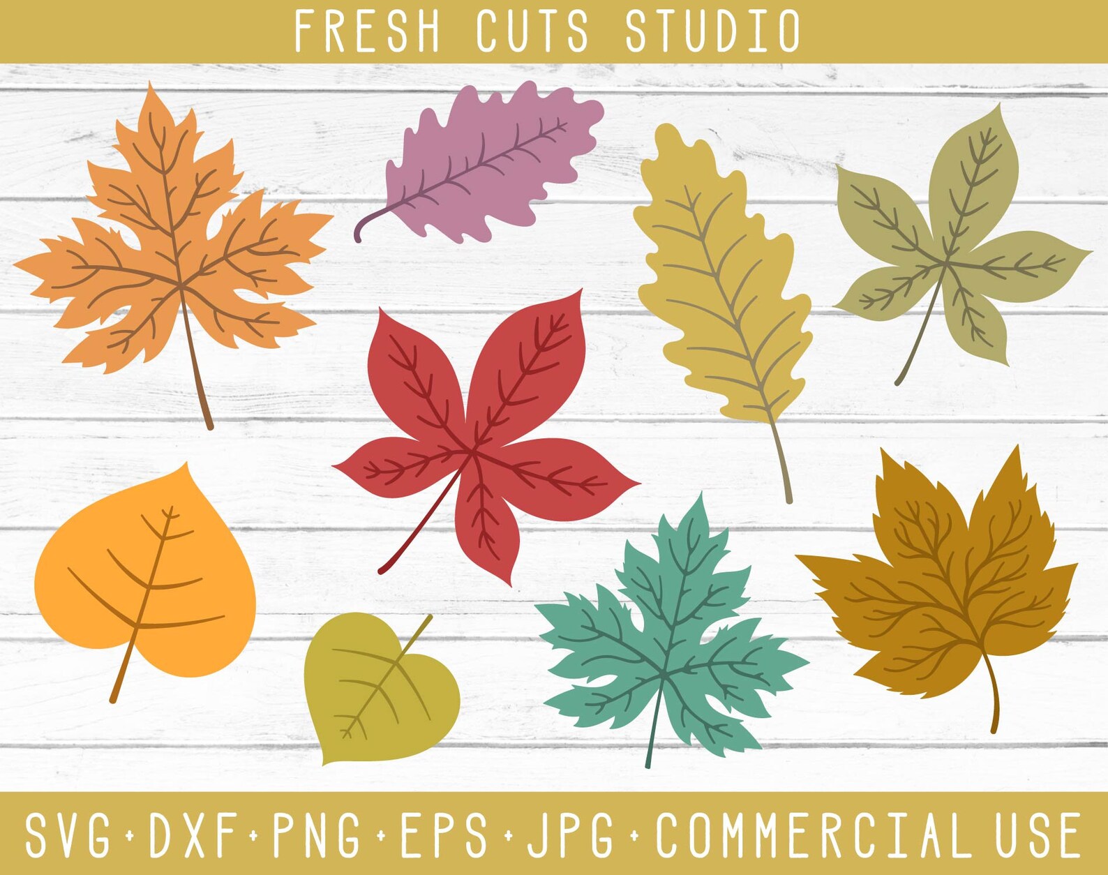 Fall Autumn Leaf SVG Leaves Instant Download Design | Etsy