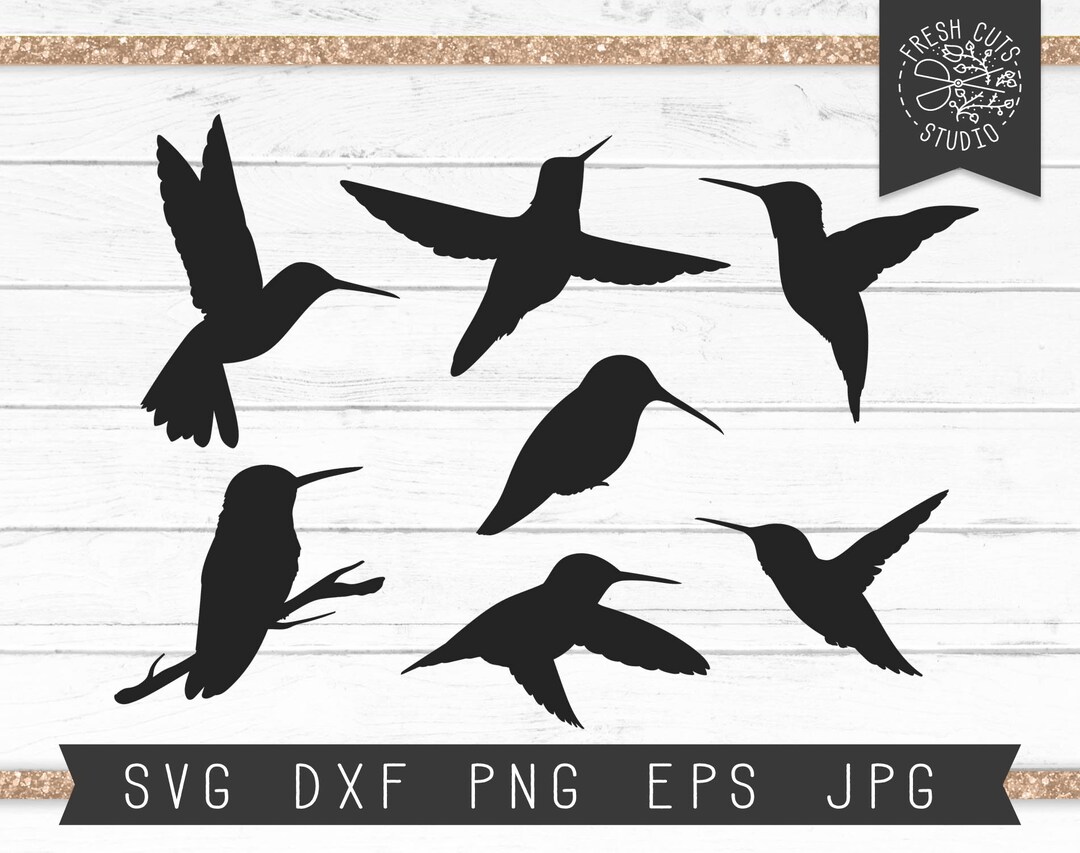 Hummingbird SVG File, Instant Download, Hummingbird Silhouettes ...