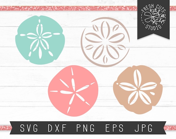 Sand Dollar SVG Cut File Instant Download Sand Dollar Cut | Etsy UK
